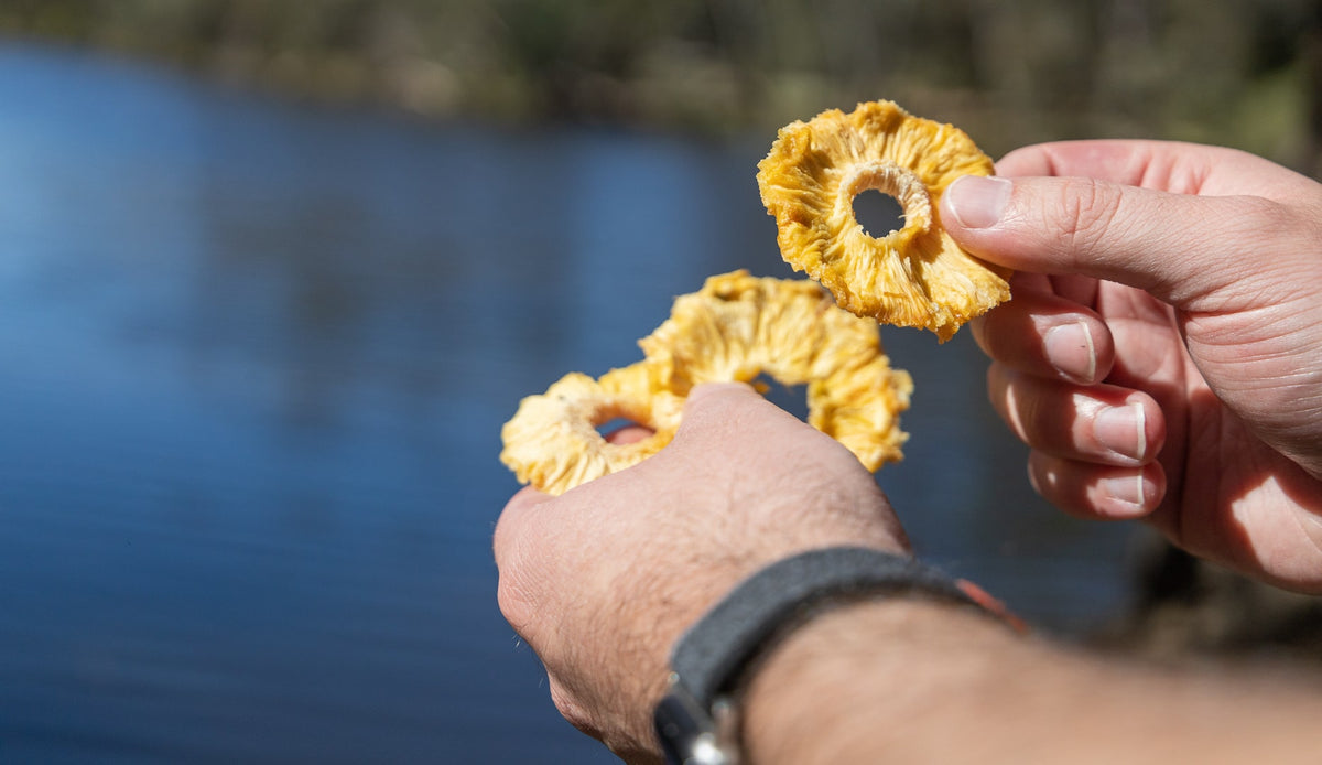 Discover The Jerky Co's Irresistible Fruit Jerky | The Jerky Co